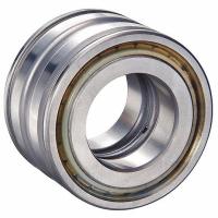 China Automotive Complement SL04 5007 PP2NR Roller Bearings for Durability for sale