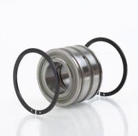 China Automotive Complement SL04 5007 PP2NR Roller Bearings for Durability for sale