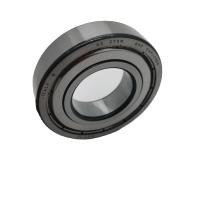 China 6200 6201 6202 6203 6204 6205 6206 6207 6208 Zz 2rs Deep Groove Ball Bearing for Steel Cage for sale