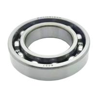China Chemical Industry Bearings Sealed 6007 Deep Groove Ball Bearings for Long-lasting for sale