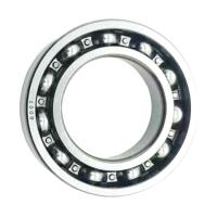 China Chemical Industry Bearings Sealed 6007 Deep Groove Ball Bearings for Long-lasting for sale