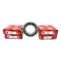 China Chemical Industry Bearings Sealed 6007 Deep Groove Ball Bearings for Long-lasting for sale