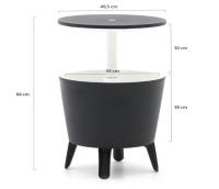 China Outdoor Modern Multifunctional White Color Plastic Table Cooler Box 49.5DX57Hcm for sale
