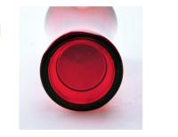 China 700ML Red Double Wall Plastic Water Bottle Stanless Steel Hot And Cold Water Bottle 1ltr for sale