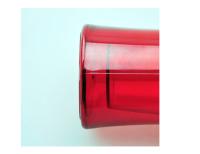 China 700ML Red Double Wall Plastic Water Bottle Stanless Steel Hot And Cold Water Bottle 1ltr for sale