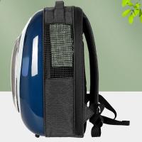 China Cute pet Supplies 31*24*42CM Pet Travel Bag Rigid Design Go-Out Packback For Convenience And Durability for sale