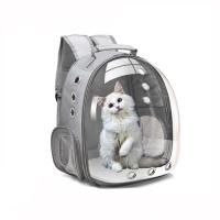 China Unisex Durable Washable Non toxic Cute Pet Supplies Featuring Playful Fun Style Hiking Backpack for sale