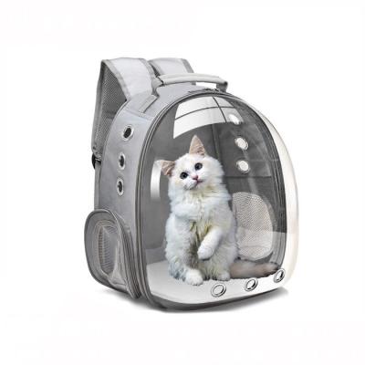 China Unisex Durable Washable Non toxic Cute Pet Supplies Featuring Playful Fun Style Hiking Backpack for sale