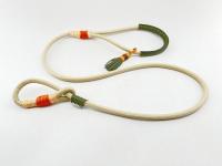 China Outdoor Pet Accessaries Fashion Modern Genuine Leather Nylon Dog Leashes for sale