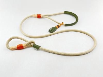 China Outdoor Pet Accessaries Fashion Modern Genuine Leather Nylon Dog Leashes for sale