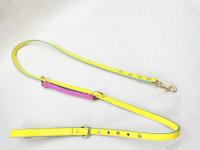 China Genuine Leather Cute Pet Supplies Dog Leashes Indoor Outdoor Durable Stylish Comfortable Design for Everyday for sale