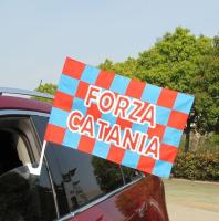 China Demonstrate auto racing banners Polyester Auto Flags Banners 12x18inch Suction Cup for sale