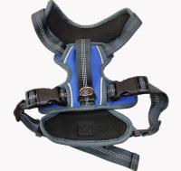 China Adjustable dachshund Small Dog Back Brace Multi Color Sponge Polyester for sale