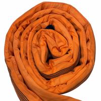 China Endless Sling Eye Type Polyester Webbing Sling 4M With 6 1 Safety Factor And Endless Type for sale