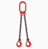 China Grade 80 Two-Leg Chain Sling Assemblies Heavy-Duty Lifting Solutions for sale
