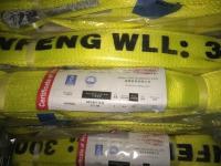 China Green Polyester Webbing Sling 10:1 Safety Factor Flat Eye End Fittings 1m-50m for sale