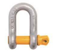 China 1 Inch Screw Pin D Shackle - 8.5 Tonne WLL, Hot Dip Galvanized Steel, ASME B30.26 Compliant for sale