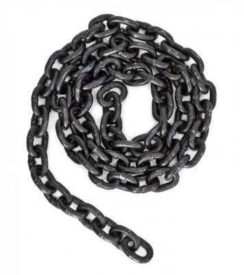China 36mm Grade 80 Endless Chain Sling - Alloy Steel Single Loop Lifting Assembly with 40 Ton Capacity for sale