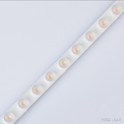 China RGB LED Wall Washer Lens Strip Dimmable Outdoor Led Lights With Lens for sale