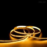 China 10mm Width DC24V Flexible LED Strip 168LEDs/M High Density Led Strip for sale