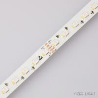 China High Quality 12mm DC24V 288LEDs/m 5-color RGB+2700K-6000K LED Strip Light for sale