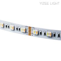 China 12mm RGB Led Strip SMD 5050 RGB CCT Adjustable Led Strip Light Multi Color for sale