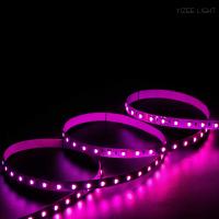 China RGBW RGB Led Strip Lights SMD5050 24V 60 LEDs/m LED Rope Light for sale