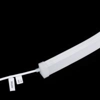 China 30*20mm Flexible Silicone Neon Strip IP67 24V LED Neon Light Outdoor Lighting for sale