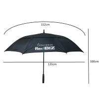 China 30 Inch Double Layer Promotional Umbrellas Windproof Large Auto Open Close Umbrella for sale