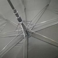 China 30 Inch Double Layer Promotional Umbrellas Windproof Large Auto Open Close Umbrella for sale