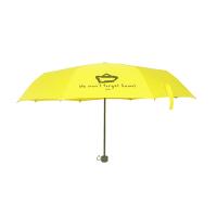 China Steel Frame Compact Umbrellas 42
