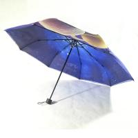 China Custom 42-inch Compact Umbrella with UV30+ Protection and Double-Layer Waterproof Canopy for Real Estate Promotions for sale