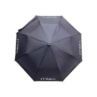 China Miax Stylish 2 Fold Automatic Umbrella Windproof Eco Friendly Printing for sale