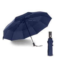 China Lightweight Windproof Umbrellas 10 Ribs Automatic Opening And Closing Umbrella for sale