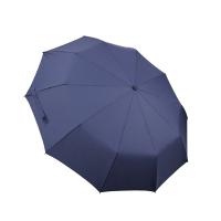 China Lightweight Windproof Umbrellas 10 Ribs Automatic Opening And Closing Umbrella for sale