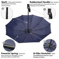 China Lightweight Windproof Umbrellas 10 Ribs Automatic Opening And Closing Umbrella for sale