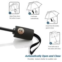 China Lightweight Windproof Umbrellas 10 Ribs Automatic Opening And Closing Umbrella for sale
