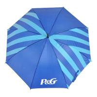 China Conomic Promotional Umbrellas 23 Inch Automatic Open Umbrellas for sale
