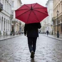 China Single Layer Reverse Umbrellas Waterproof Polyester Manual Open Umbrella for sale