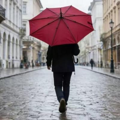 China Single Layer Reverse Umbrellas Waterproof Polyester Manual Open Umbrella for sale