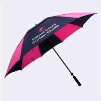 China Double Canopy Long Straight Manual Umbrella 30