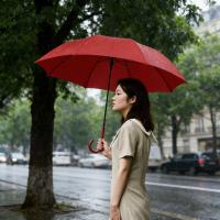 China Classic Elegance Walking Umbrellas Automatic Women's Straight Umbrella for sale