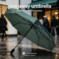 China Custom Give Away Umbrella with Automatic Open & Close, 45-inch Large Canopy and Compact Portable Design for Promotional Gifts for sale