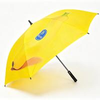 China Custom Personalized Printed Color Umbrella for sale