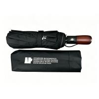 China Custom Printed Logo Umbrellas Auto Foldable Umbrella for sale