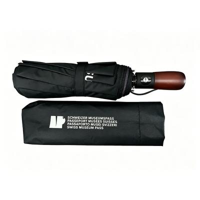China Custom Printed Logo Umbrellas Auto Foldable Umbrella for sale