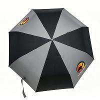 China Auto Open Close 45 Inch UV40+ High Density Fabric Corporate Gift Umbrella with Screen Print Logo for sale