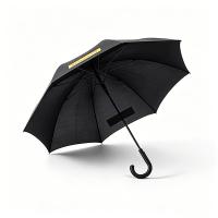 China 46 Inch Fiberglass Walking Stick Promotional Umbrella with Hidden Auto Button for sale