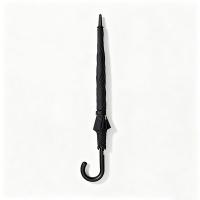 China 46 Inch Fiberglass Walking Stick Promotional Umbrella with Hidden Auto Button for sale