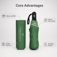China Custom Branded Auto Open Close Compact Folding Umbrella with 8 Fiberglass Windproof Ribs and 190T Waterproof Pongee for sale